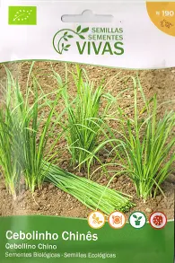磊 Cebolinho Chines - 1g | Hortanimal